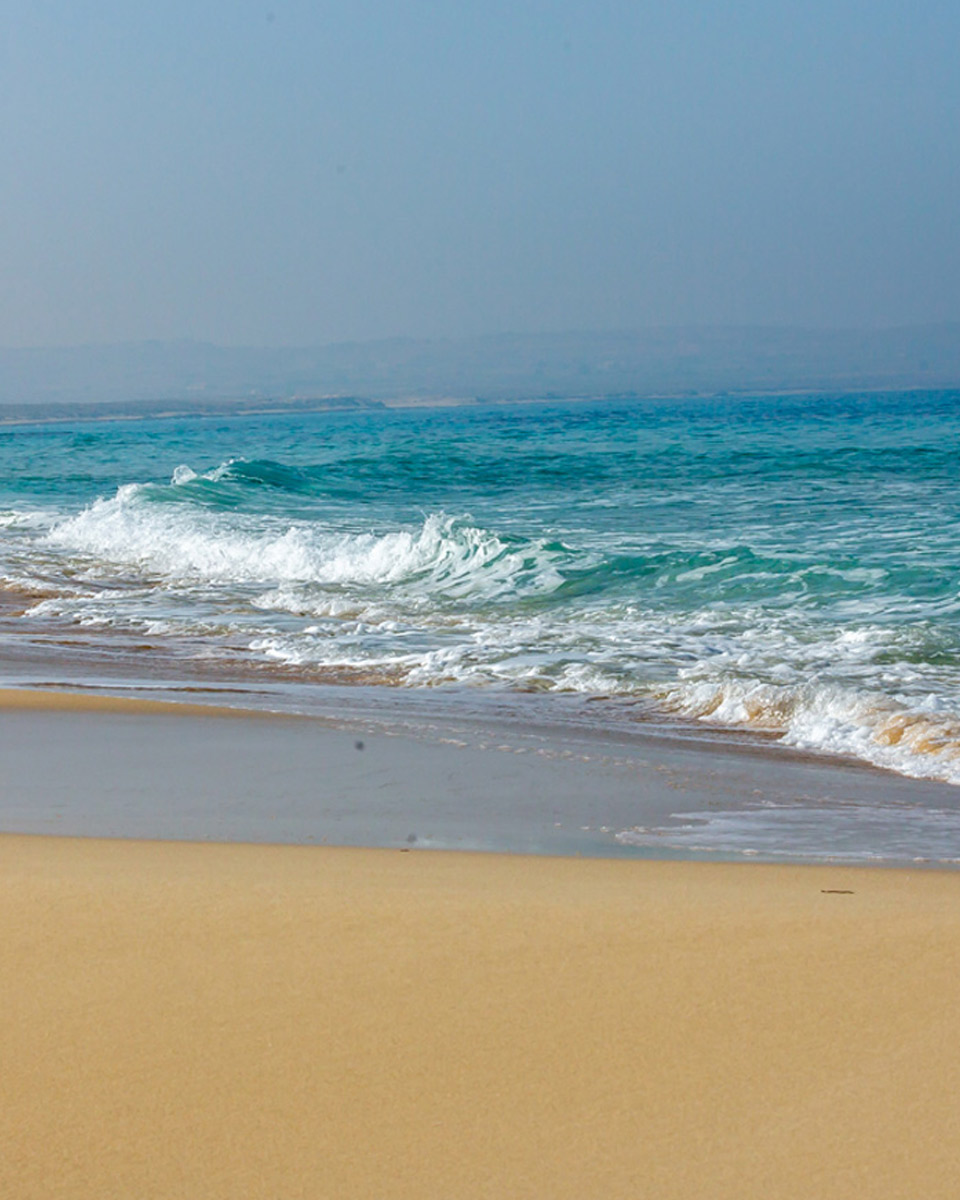 الساحل الشمالي – Marakez RAY